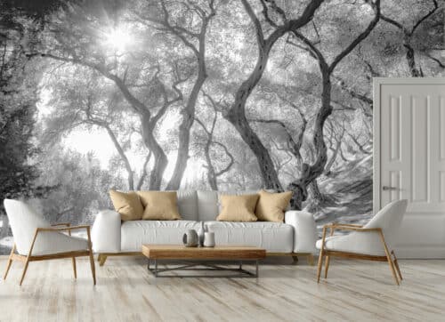 Mural Nature Walk | Wallpaper Online