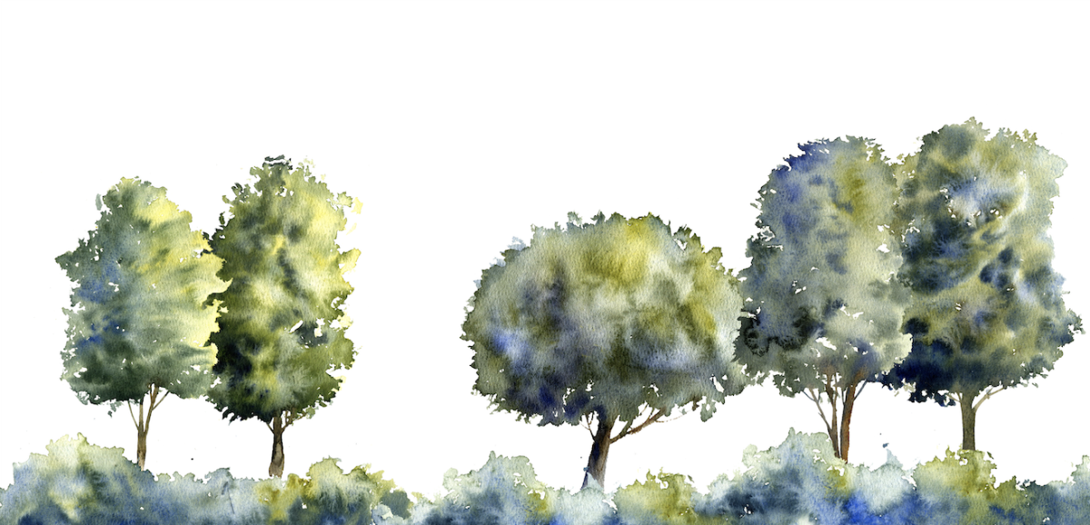 Mural Atkinson Forest | Wallpaper Online
