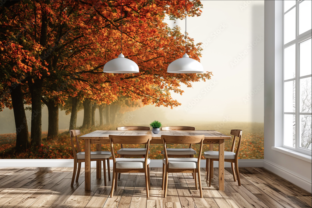 Autumn Stroll Forest Mural | Wallpaper Online